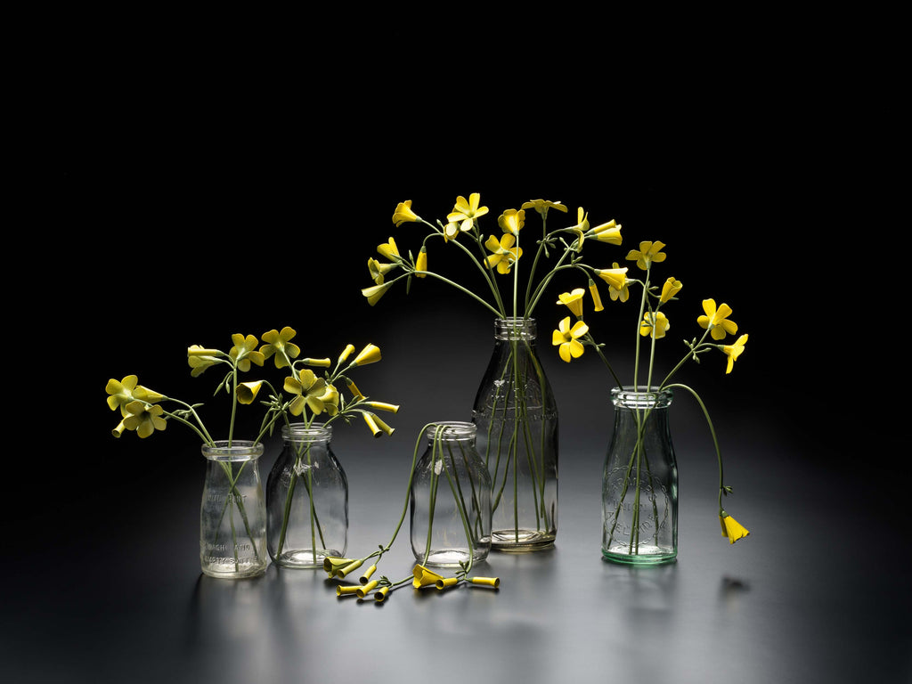 'Sweet Reminder' table ornaments – Funaki